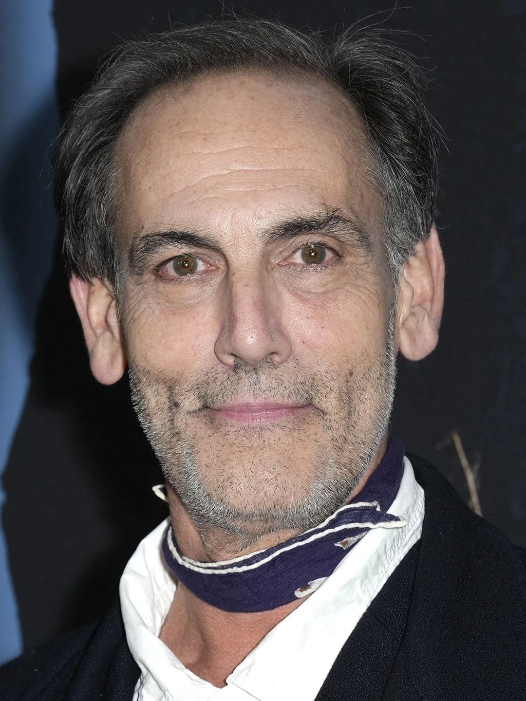 Damian Young | The Good Wife Wiki | Fandom