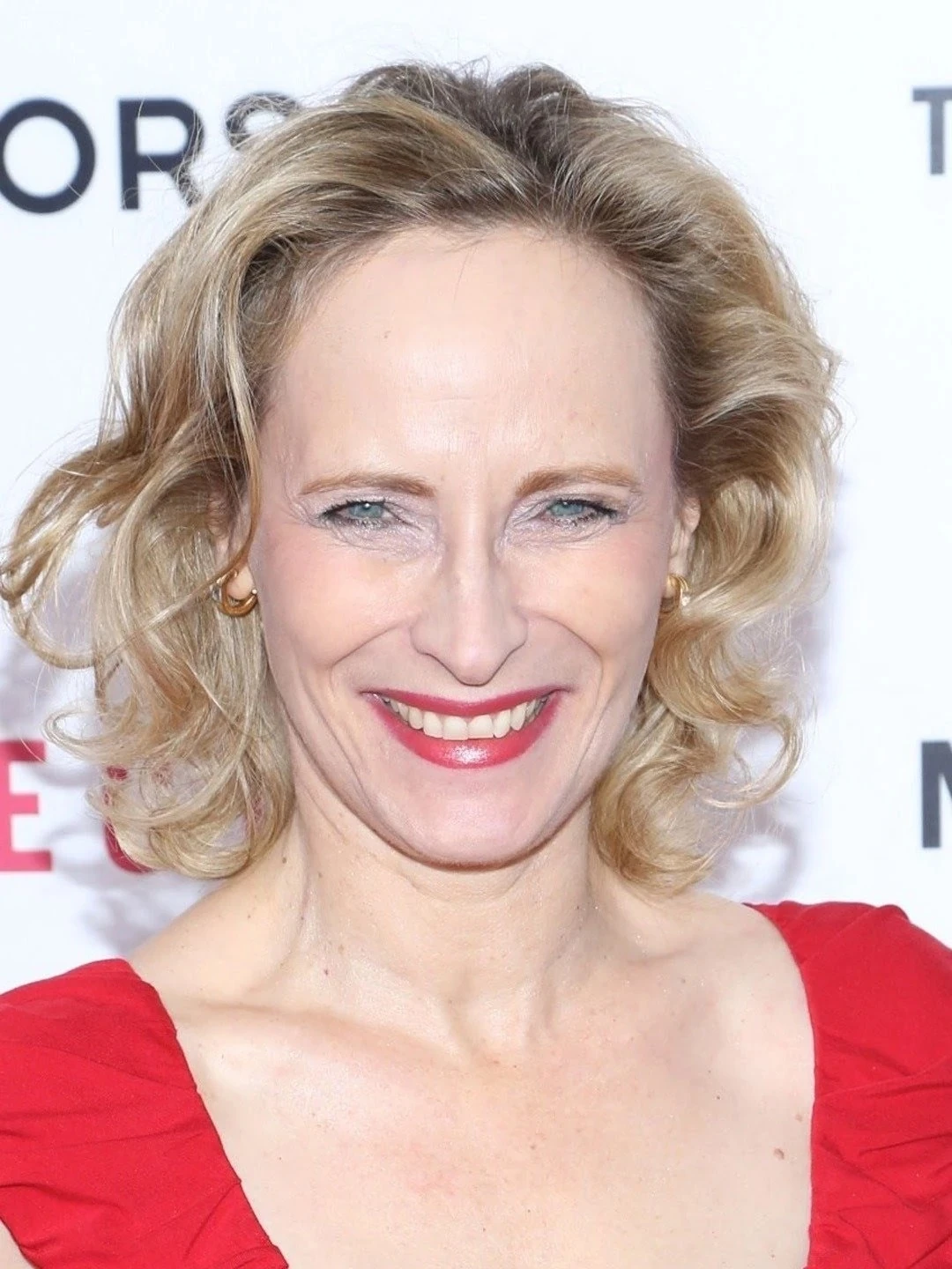 Laila Robins | The Good Wife Wiki | Fandom