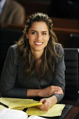 Laura Hellinger | The Good Wife Wiki | Fandom