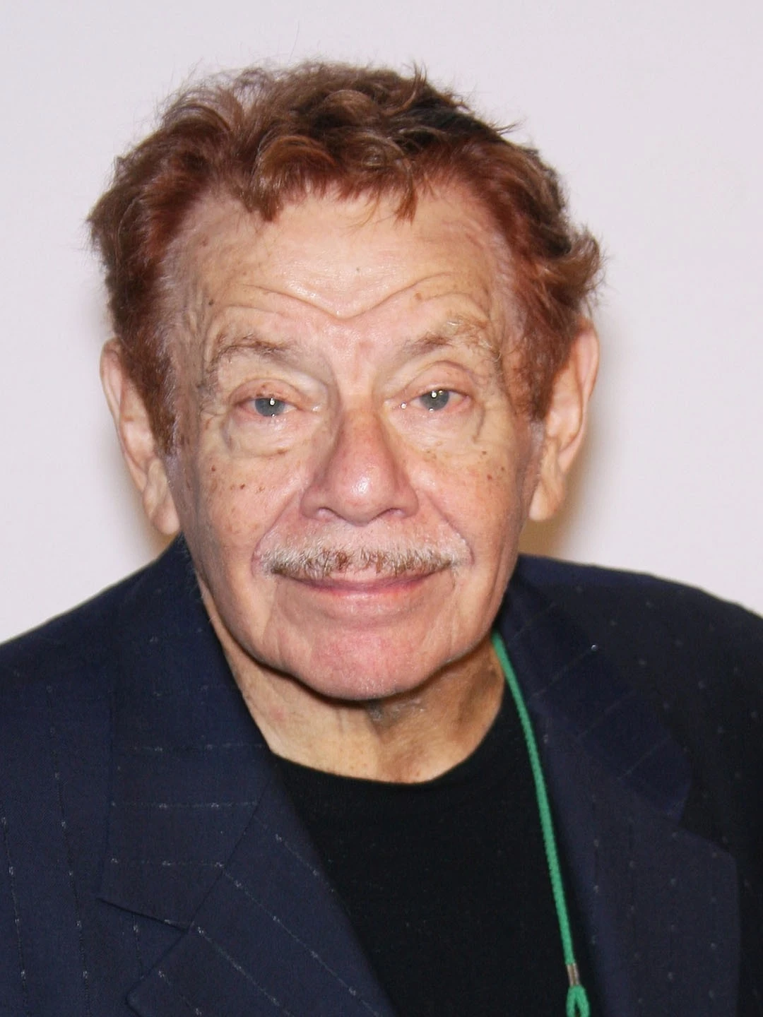 Jerry Stiller | The Good Wife Wiki | Fandom