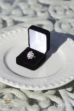 Merriwick Family | The Good Witch Wiki | Fandom