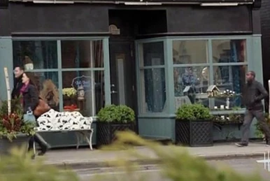 Who Cut The Merriwick Flower Good Witch | Best Flower Site