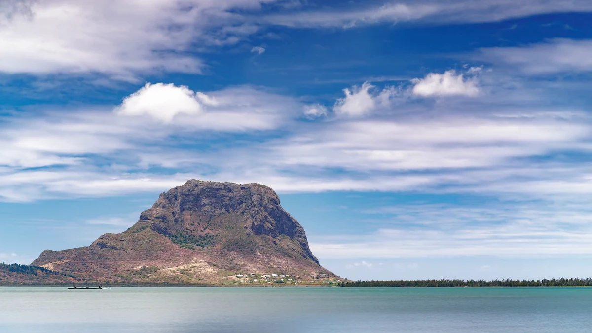 Stone Head | Thegreatgame Wiki | Fandom