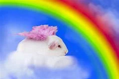 SCP 5876 (Keter) | TheGuineaFoundation Wiki | Fandom