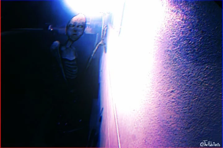 Humanoid Worm | TheHabitants Wiki | Fandom