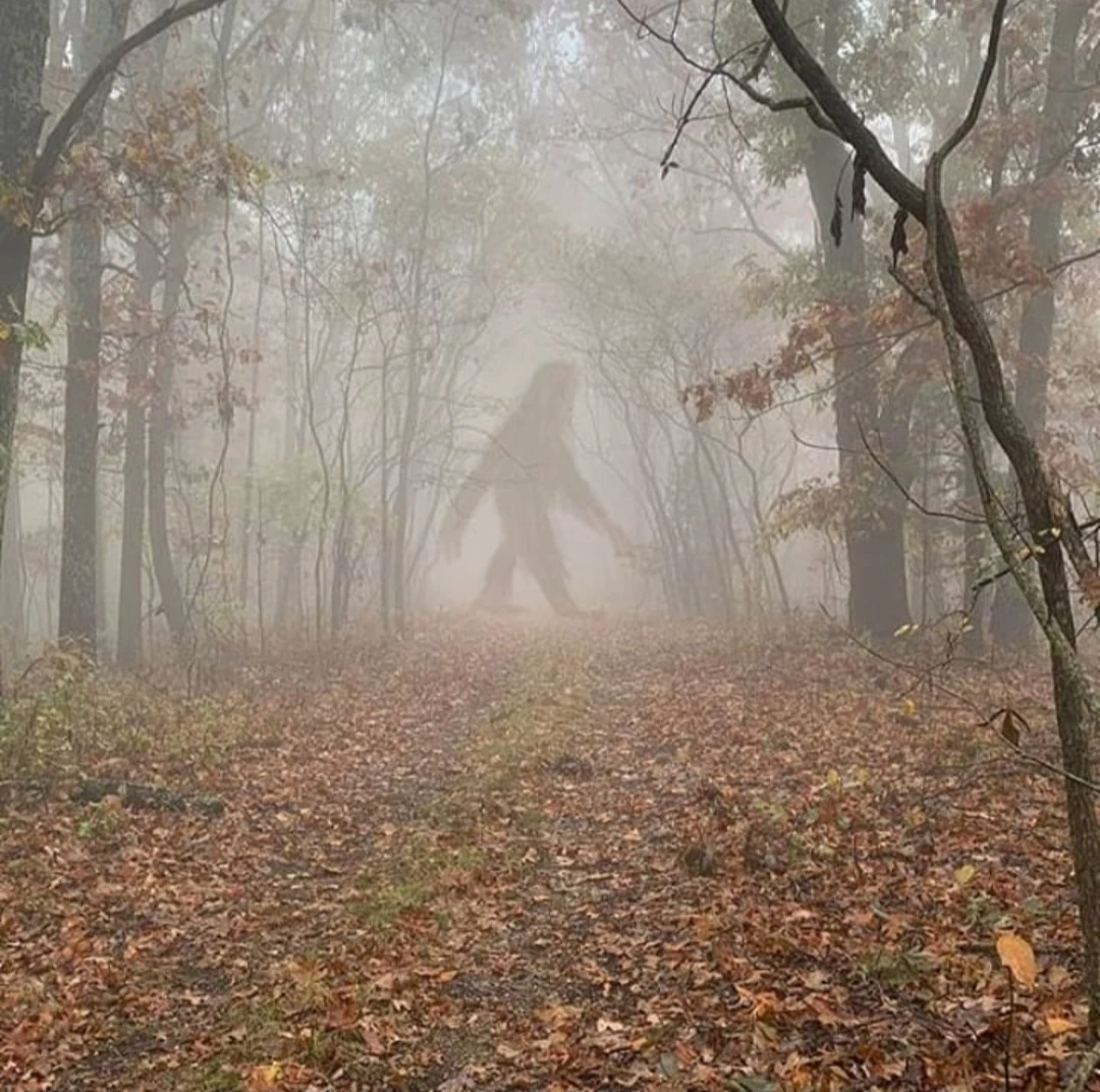 Bigfoot | TheHabitants Wiki | Fandom