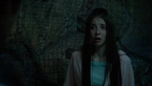 Fox | The 100 Wiki | Fandom