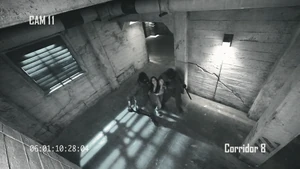 Fox | The 100 Wiki | Fandom