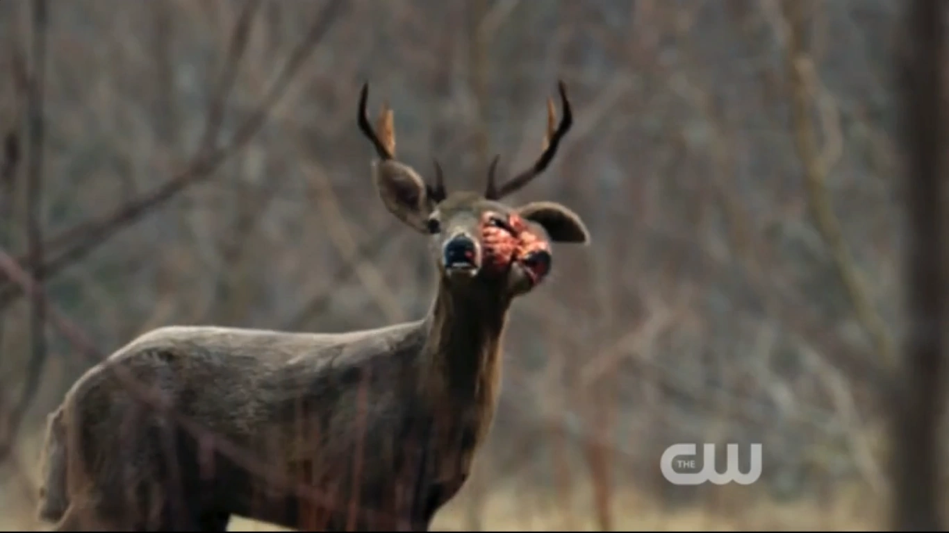 Mutations | The 100 Wiki | Fandom