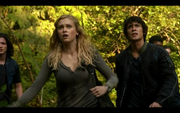 Clarke and Bellamy | The 100 Wiki | Fandom