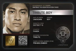 Hommages Au District 10 De Catching Fire A Former Staffer Exposes How