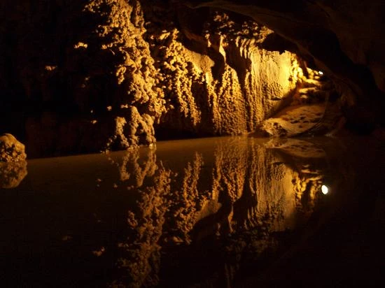 User blog:Oblivion1001/CLOVE1001'S 325TH HUNGER GAMES | The Hunger ...