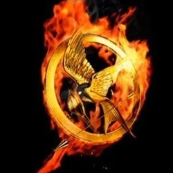 Catching Fire Mockingjay
