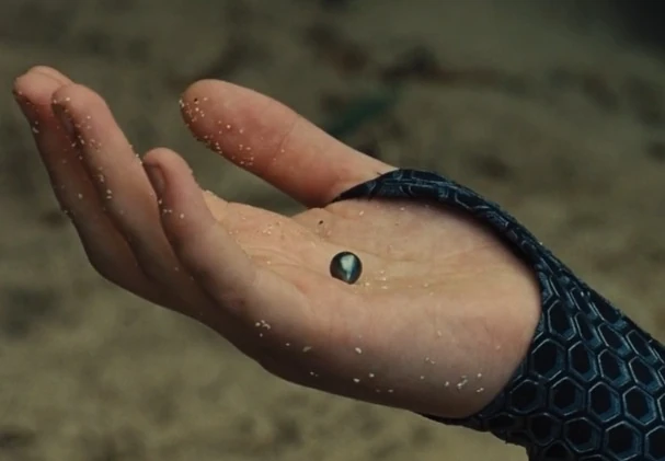 Peeta Mellark's pearl | The Hunger Games Wiki | Fandom