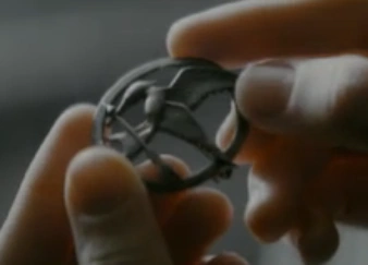 Tribute token | The Hunger Games Wiki | Fandom