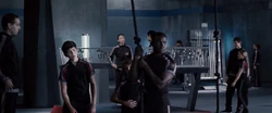 How Did Thresh Die The Hunger Games