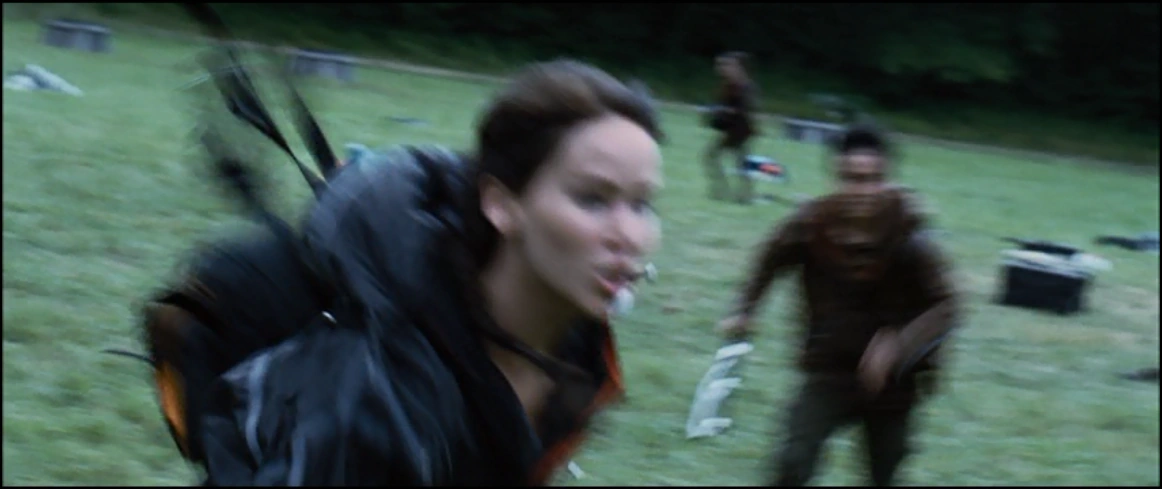 User blog:Sonicthehedgehog158/Hunger Games Book Death Order | The ...