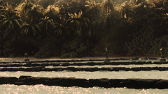 Chaff | The Hunger Games Wiki | Fandom