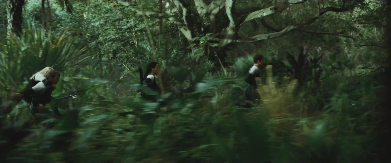 Catching Fire Fog