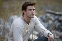 Gale Hawthorne | The Hunger Games Wiki | Fandom