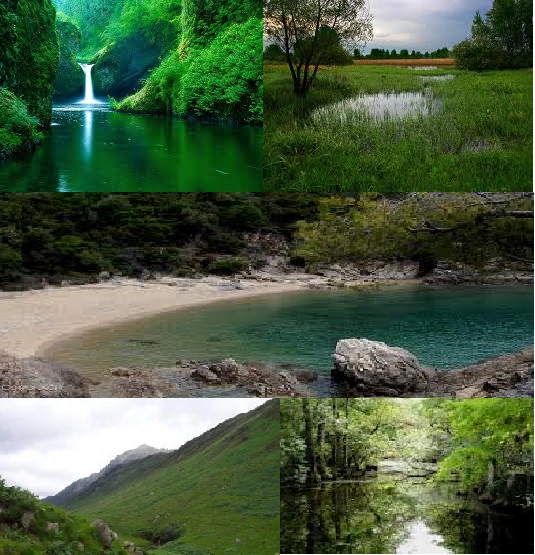 User blog:ViniciusDeAssis1999/The 52nd Hunger Games | The Hunger Games ...