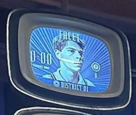 Facet | Wiki The Hunger Games | Fandom