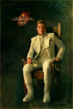 Catching Fire Chaff Poster