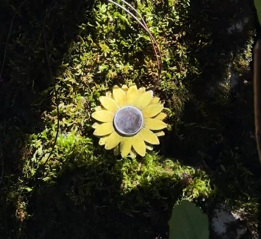 Sunflower bomb | The Hunger Games Wiki | Fandom