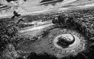 Mockingjay (bird) | The Hunger Games Wiki | Fandom