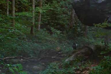 74th Hunger Games Arena Visual Guide