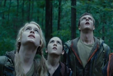 74th Hunger Games Cornucopia