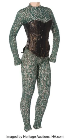 Catching Fire Tribute Costumes