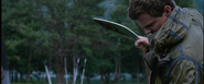 Marvel | The Hunger Games Wiki | Fandom