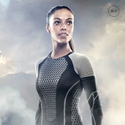 catching fire district tributes