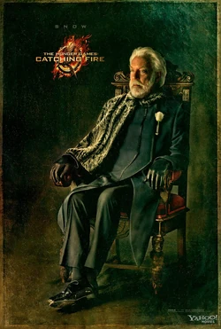 Catching Fire Chaff Poster