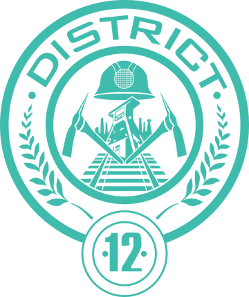 Catching Fire District 12 Reaping