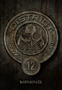 District 12 | The Hunger Games Fanon Wiki | Fandom