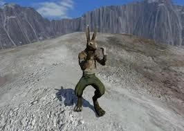Rabbit Man | The Hunger Games Fanon Wiki | Fandom