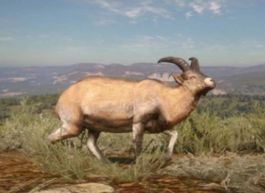 Südöstlicher Ibex | TheHunter Call of the Wild Wiki | Fandom