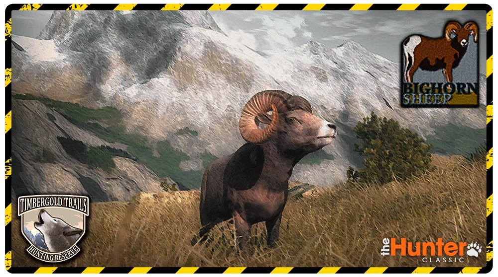 Muflón Canadiense | Wiki TheHunter | Fandom