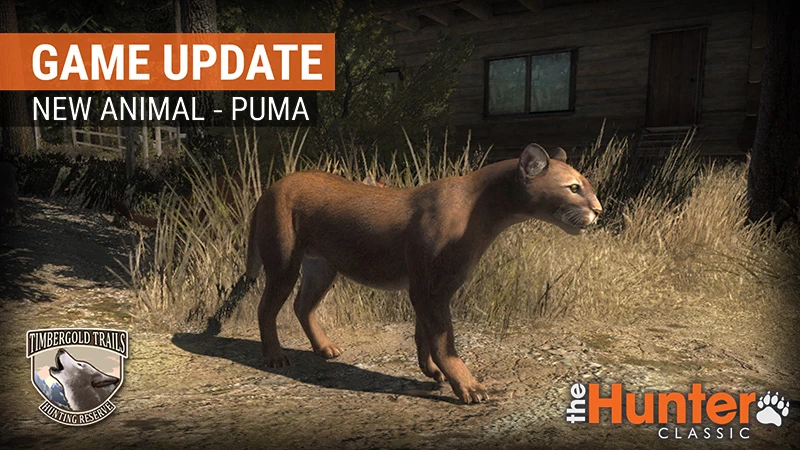 Puma | Wiki TheHunter | Fandom