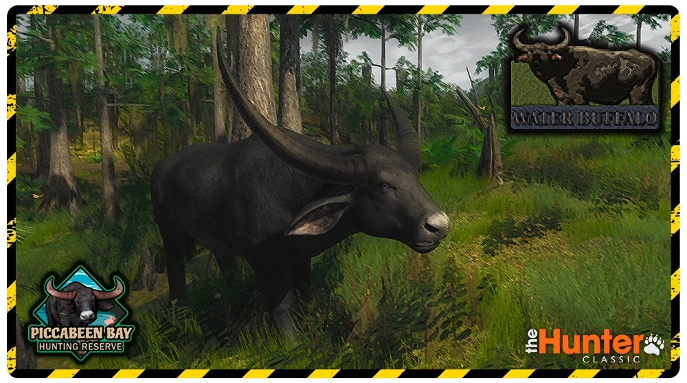 Búfalo de Agua | Wiki TheHunter | Fandom