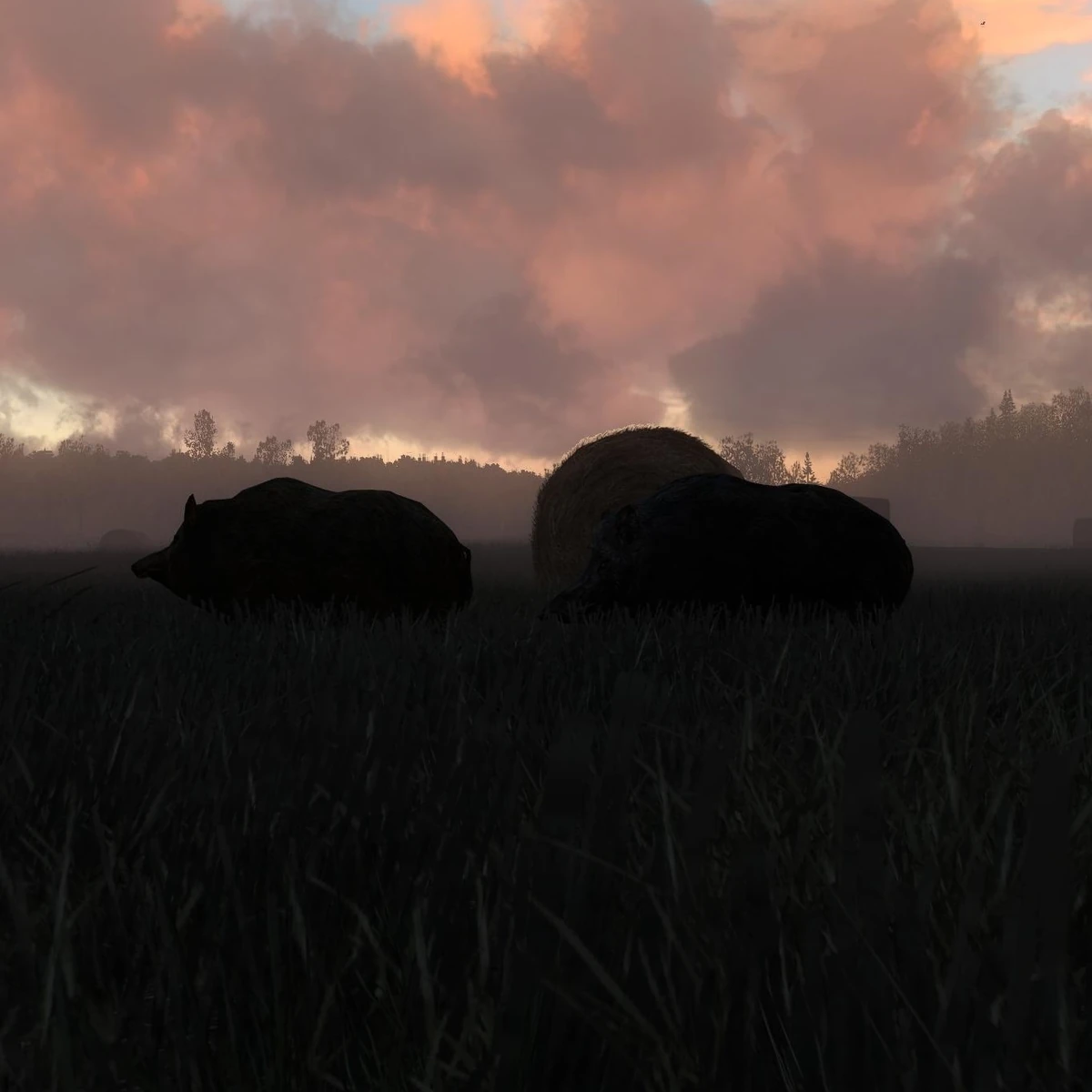 Wildschwein | TheHunter Wiki | Fandom