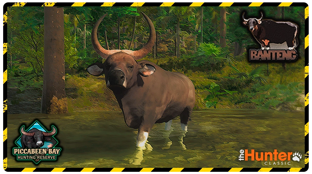 Banteng | Wiki TheHunter | Fandom