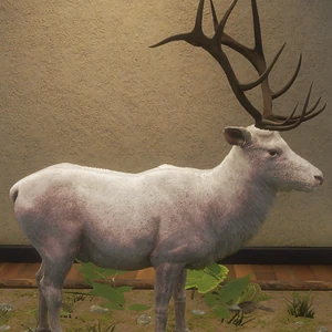 Discuss Everything About TheHunter: Call of the Wild Wiki | Fandom