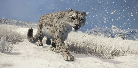 Snow Leopard | TheHunter: Call of the Wild Wiki | Fandom
