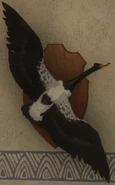 Magpie Goose | TheHunter: Call of the Wild Wiki | Fandom