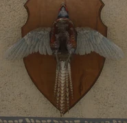Ring-Necked Pheasant | TheHunter: Call of the Wild Wiki | Fandom