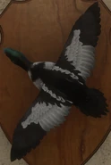 Goldeneye | TheHunter: Call of the Wild Wiki | Fandom