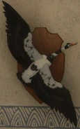 Magpie Goose | TheHunter: Call of the Wild Wiki | Fandom